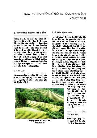 Báo cáo Hiện trạng môi trường Việt Nam 2000